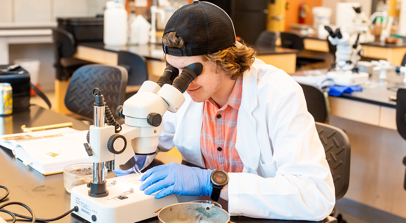 Prospective Undergraduate Researchers | SNU